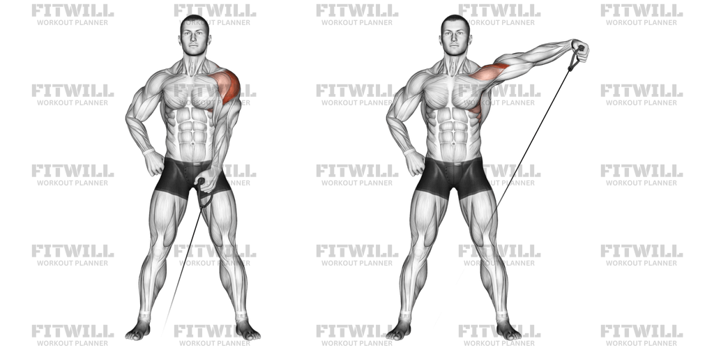 Cable One Arm Lateral Raise: Exercise Guide, Video, Techniques ...