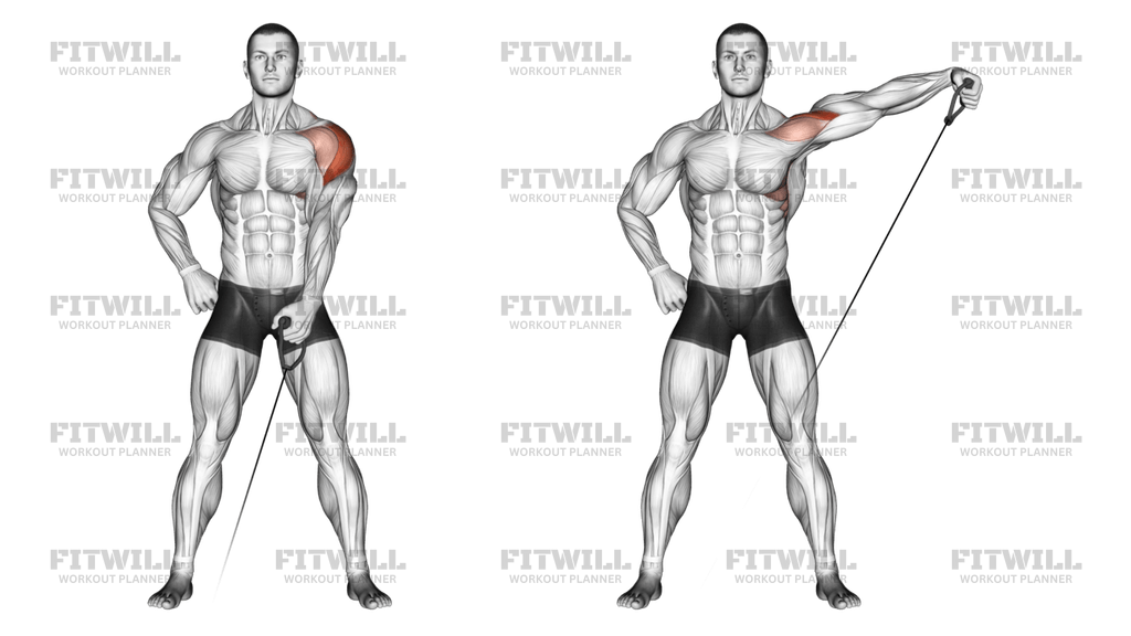 Cable One Arm Lateral Raise: Exercise Guide, Video, Techniques ...