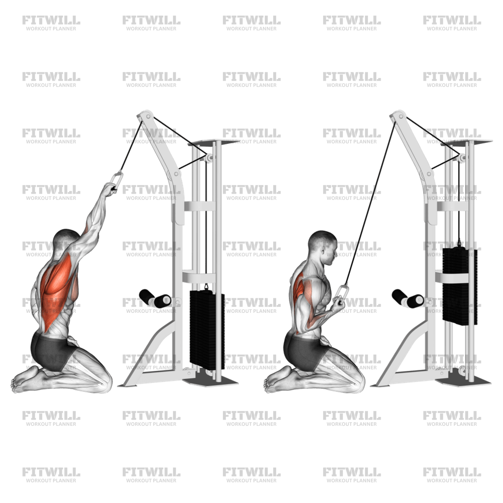Cable One Arm Straight Back High Row (kneeling): Exercise Guide ...