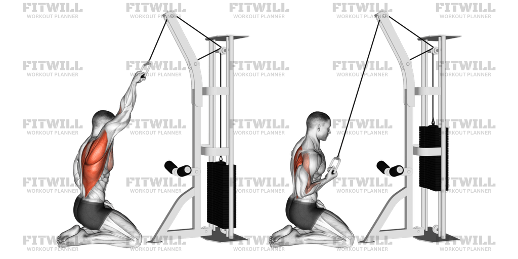 Cable One Arm Straight Back High Row (kneeling): Exercise Guide ...