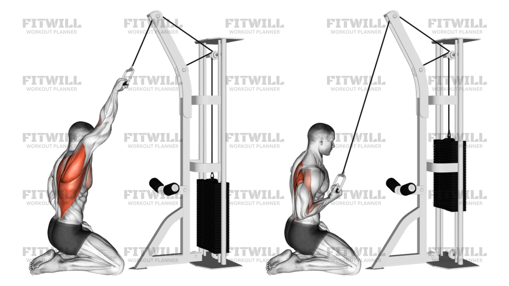 Cable One Arm Straight Back High Row (kneeling): Exercise Guide ...