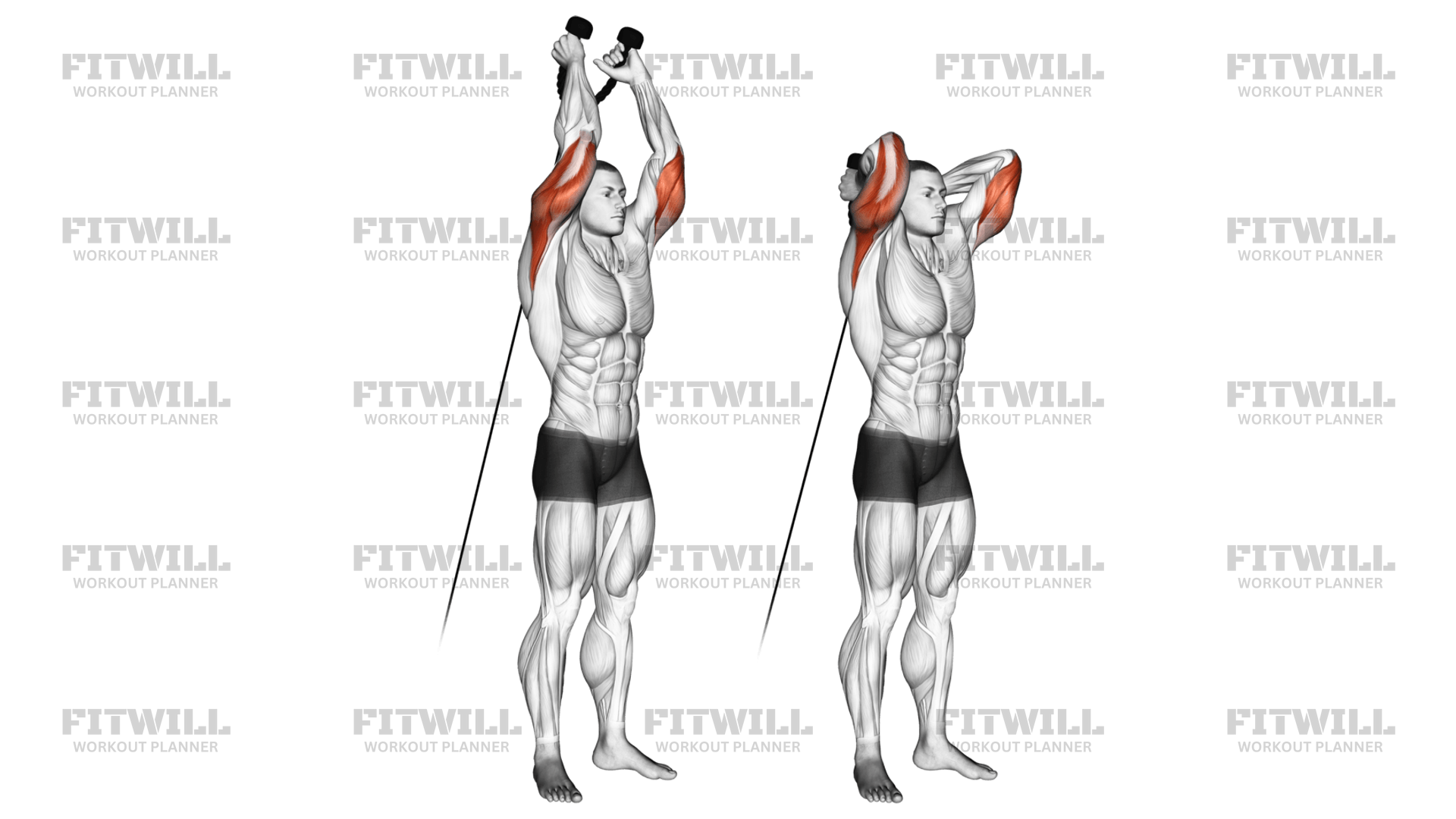 Cable Overhead Triceps Extension (rope Attachment): Exercise Guide, Video, Techniques, Benefits ...