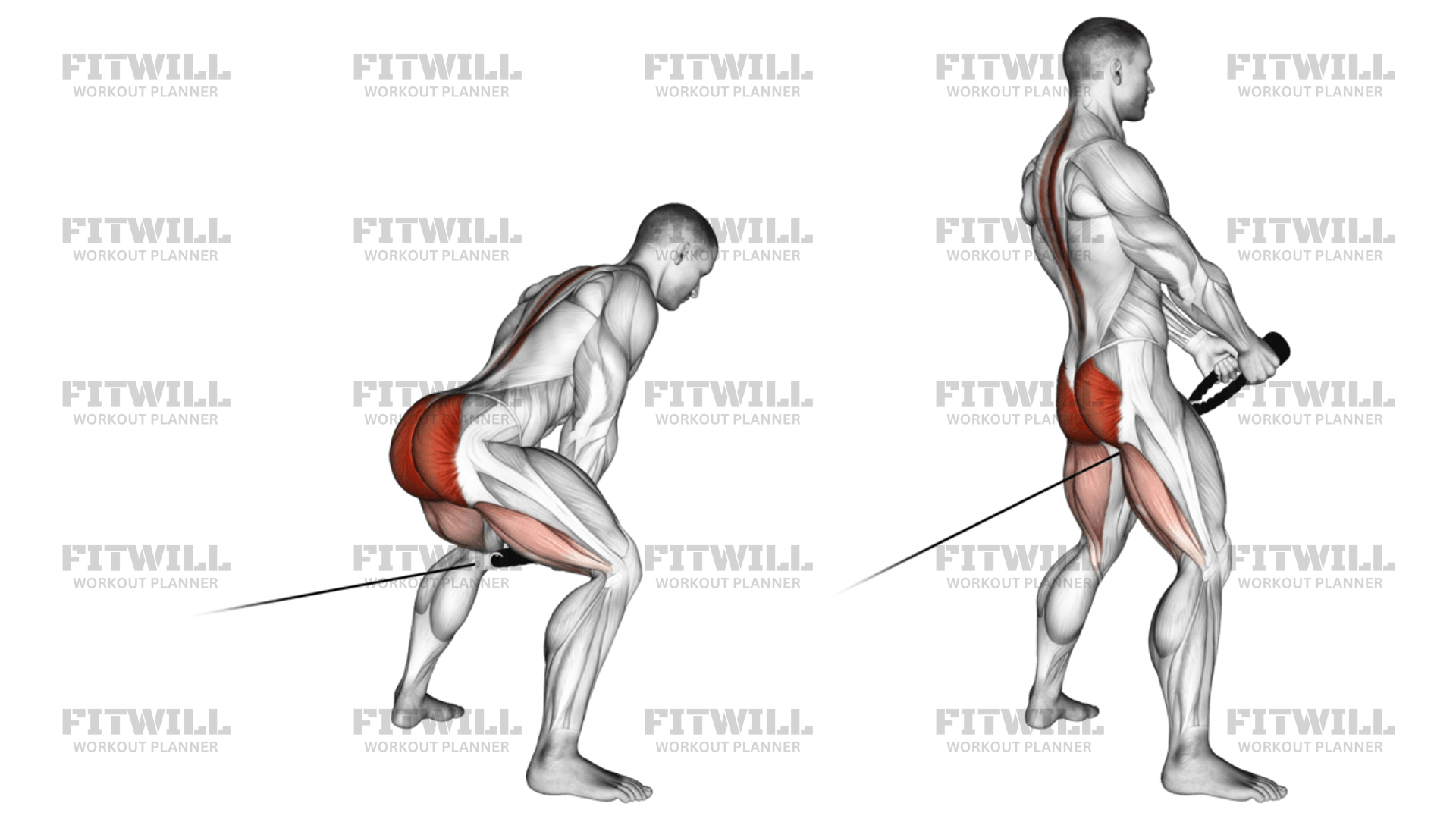 Cable Pull Through (with Rope): Exercise Guide, Video, Techniques ...