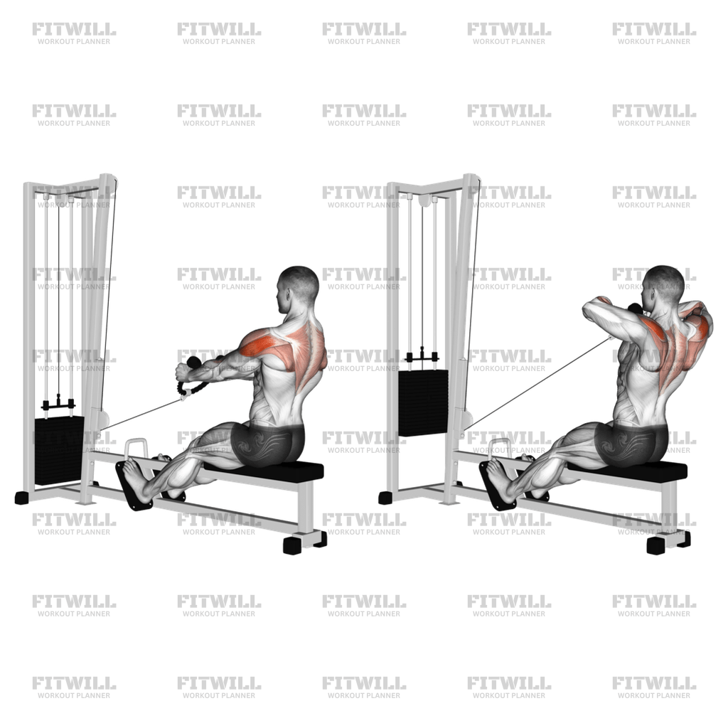 Cable Rear Delt Row (stirrups): Exercise Guide, Techniques, Benefits ...