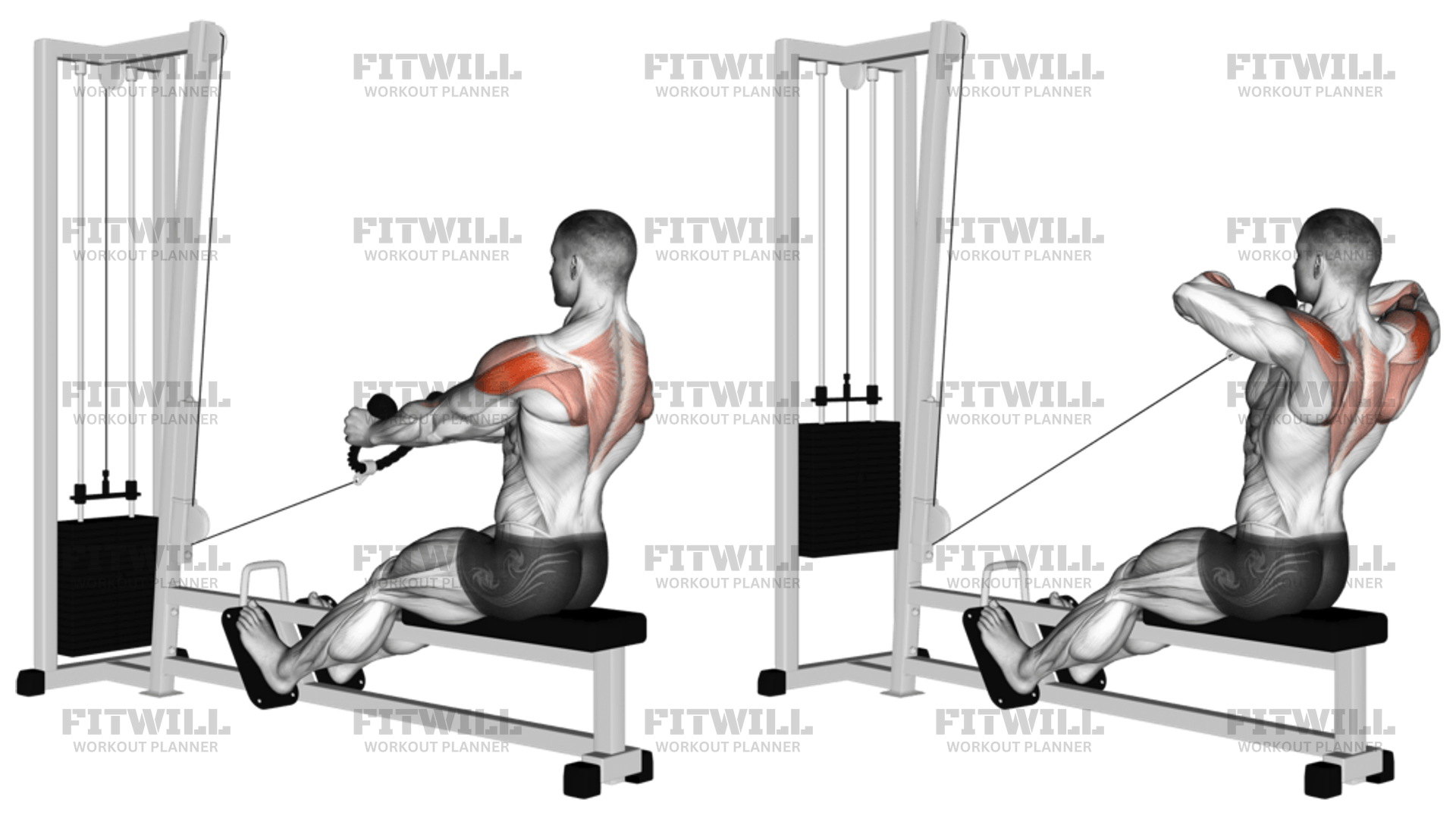 Cable Rear Delt Row (stirrups): Exercise Guide, Techniques, Benefits ...