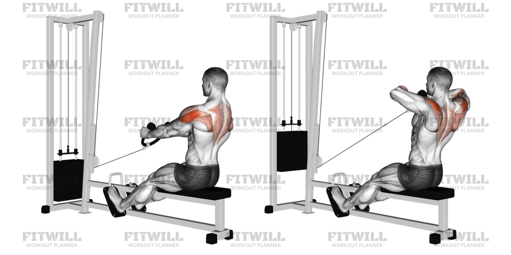 Cable Rear Delt Row (stirrups): Exercise Guide, Techniques, Benefits ...