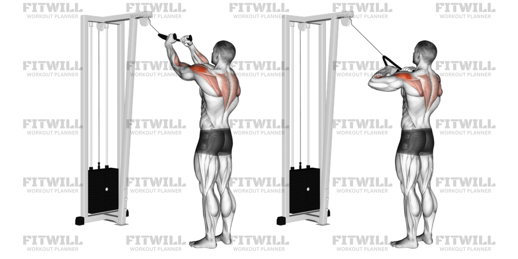 Cable Rear Delt Row (with Rope): Exercise Guide, Video, Techniques ...