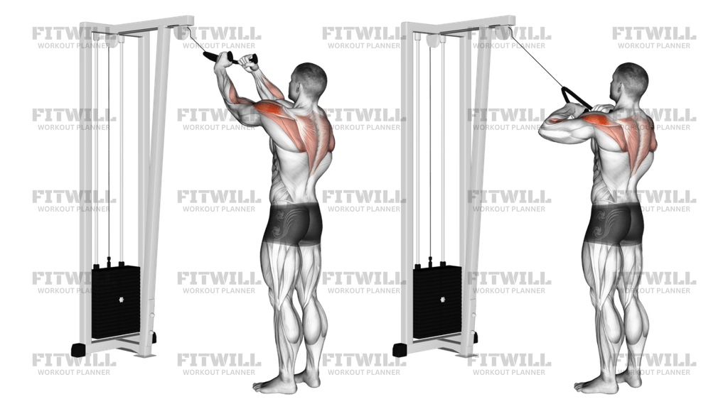 Cable Rear Delt Row (with Rope): Exercise Guide, Video, Techniques ...