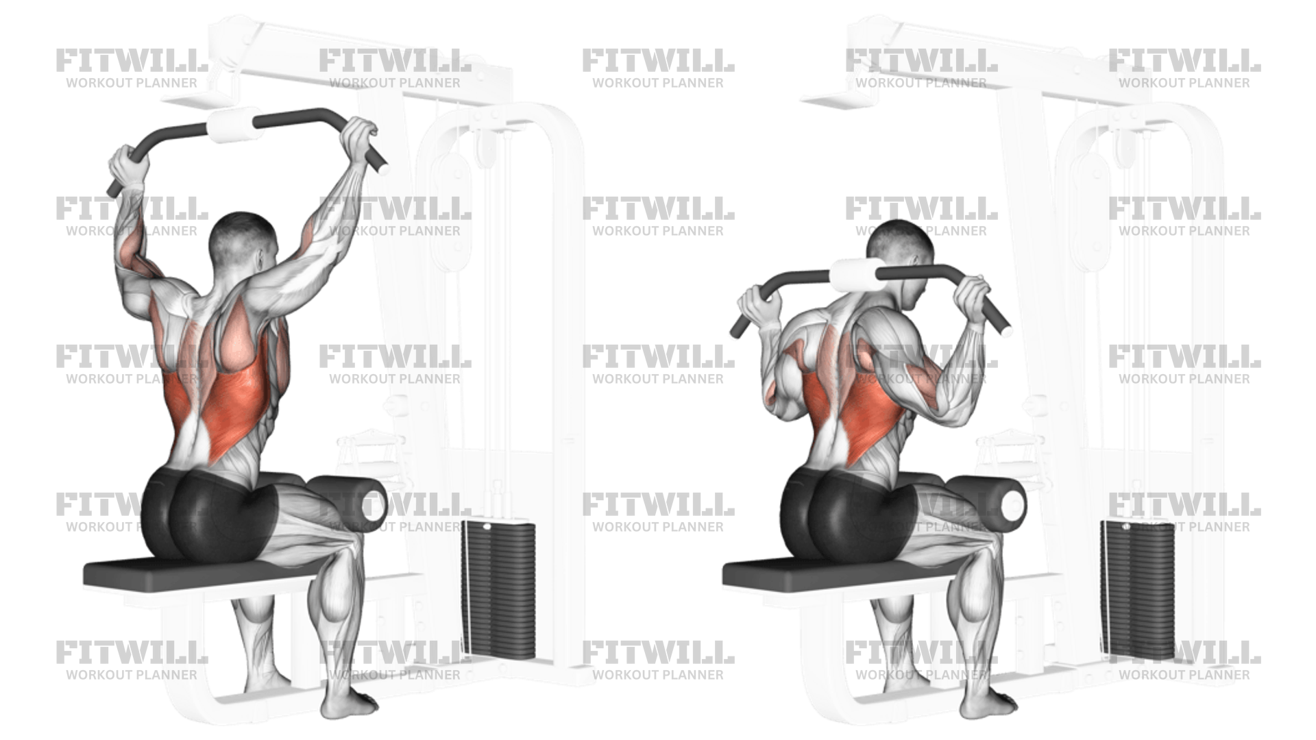 Cable Rear Pulldown: Exercise Guide, Video, Techniques, Benefits, How to, Muscles Worked, Tips ...