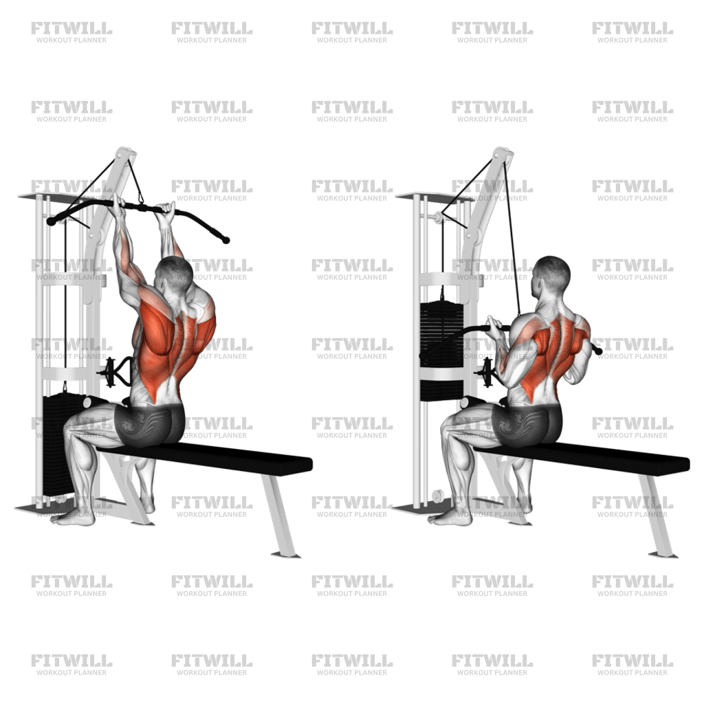 Cable Reverse-grip Straight Back Seated High Row: Exercise Guide, Video ...