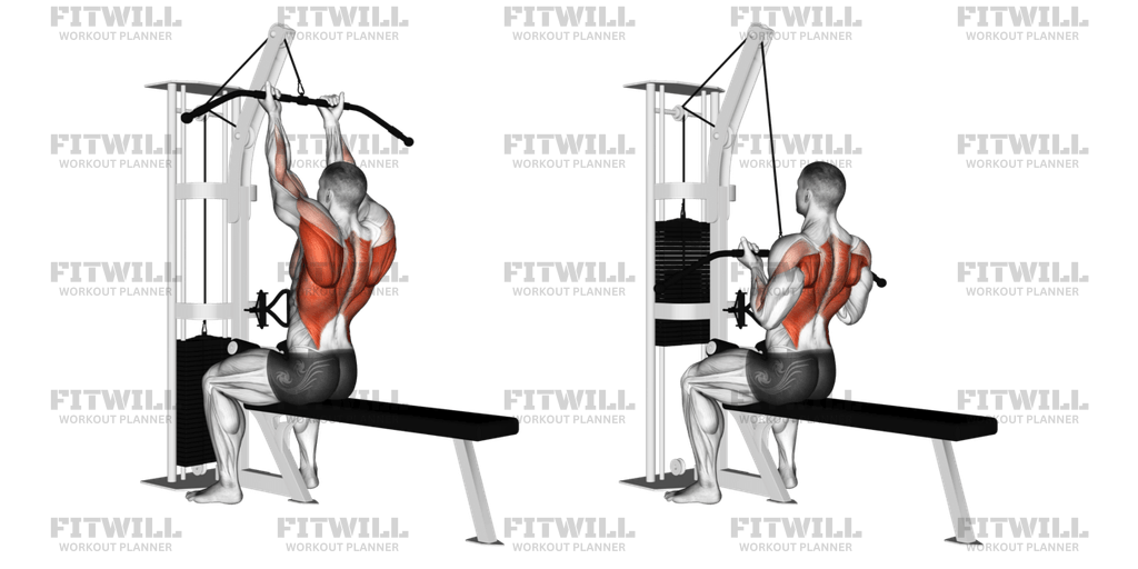 Cable Reverse-grip Straight Back Seated High Row: Exercise Guide, Video ...