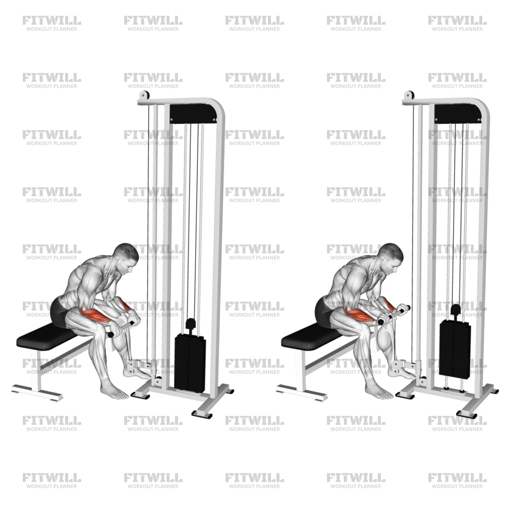 Rosca Inversa De Punho Na Polia: Guia de Exercícios, Vídeo, Técnicas ...