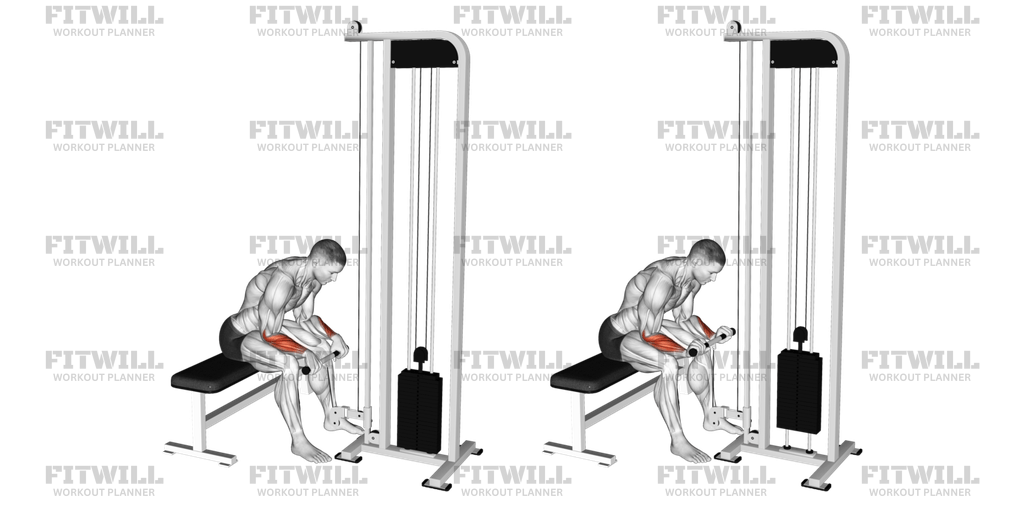 Rosca Inversa De Punho Na Polia: Guia de Exercícios, Vídeo, Técnicas ...
