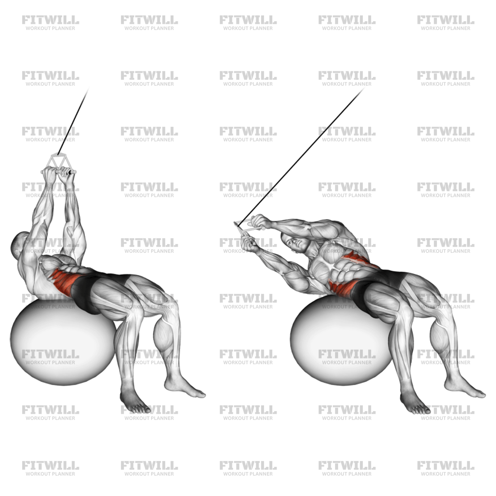 Cable Russian Twists On Stability Ball: Exercise Guide, Techniques ...