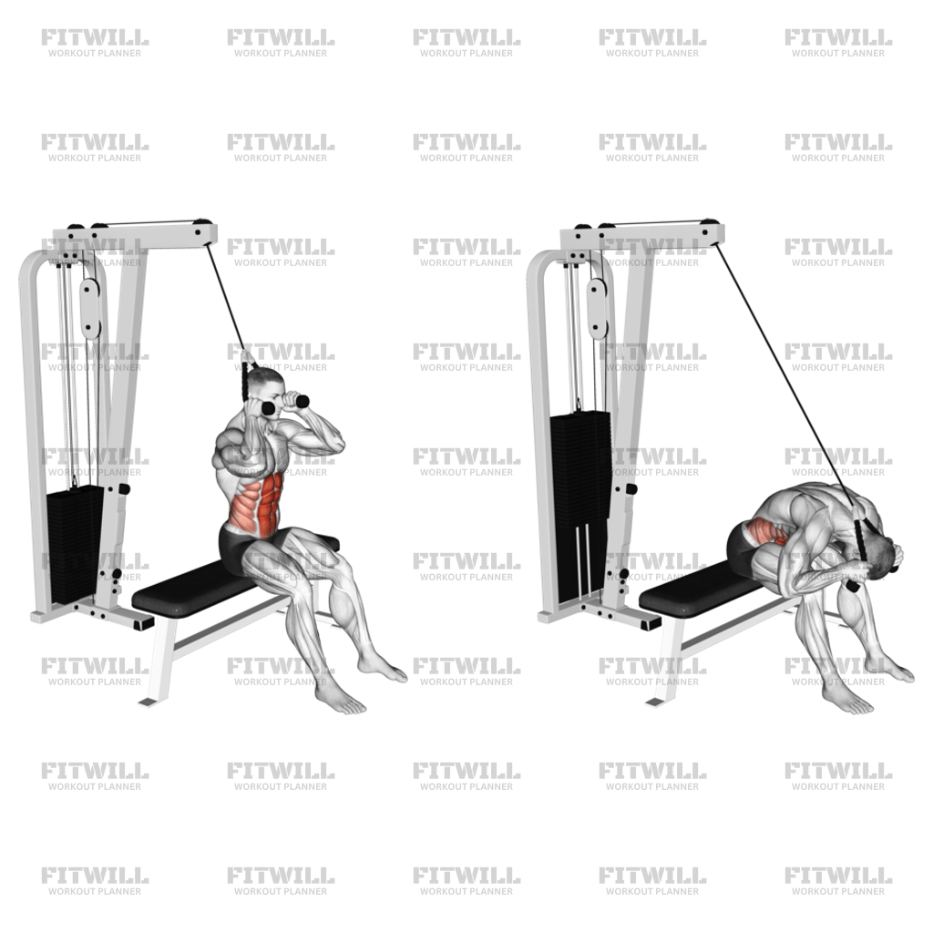 Cable Seated Crunch: Exercise Guide, Video, Techniques, Benefits, How ...