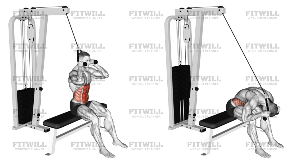 Cable Seated Crunch: Exercise Guide, Video, Techniques, Benefits, How ...
