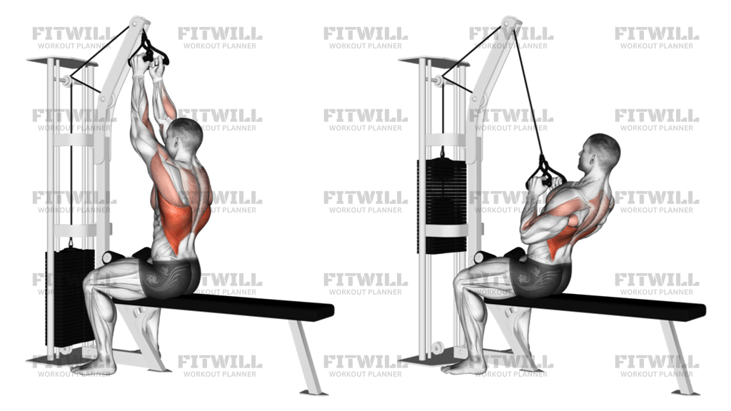 Remo Alto Sentado En Polea (Barra En V): Guía de Ejercicios, Video ...