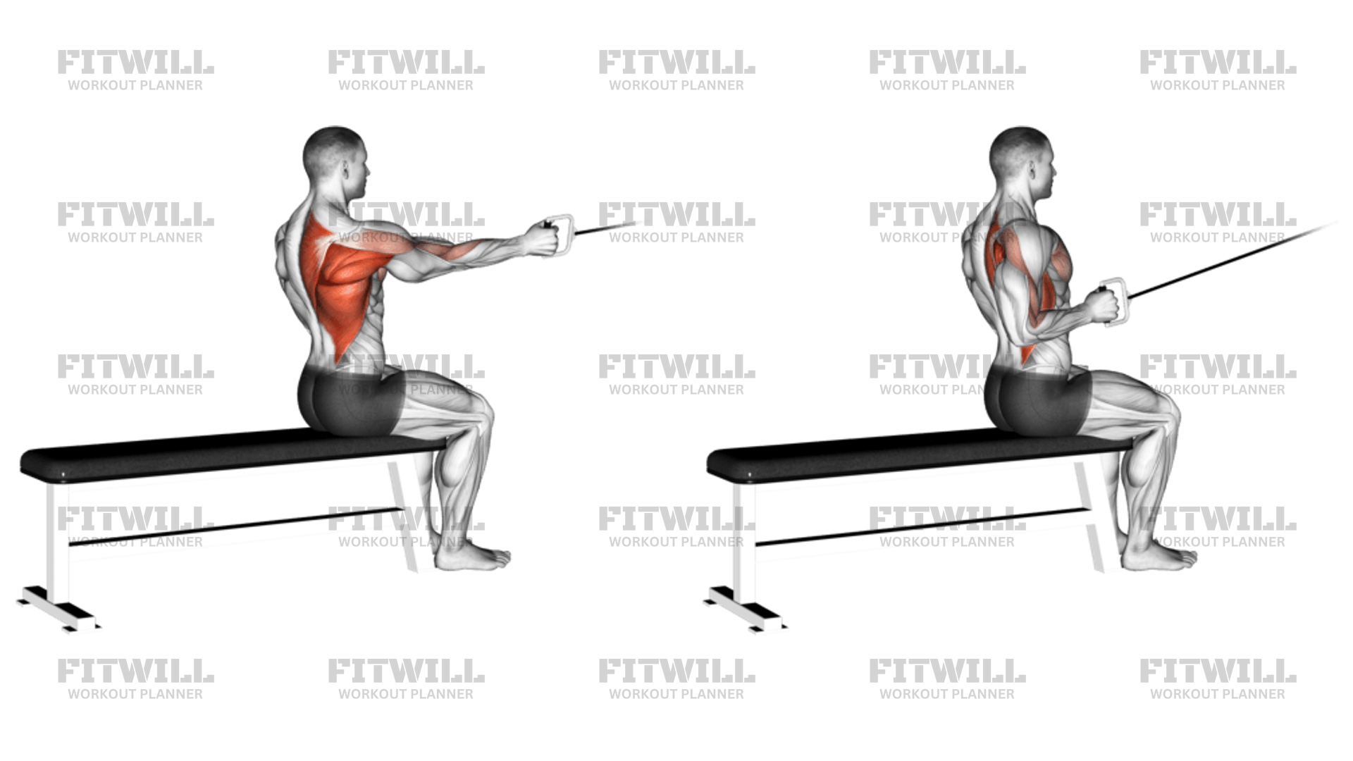 Cable Seated One Arm Alternate Row: Exercise Guide, Video, Techniques ...