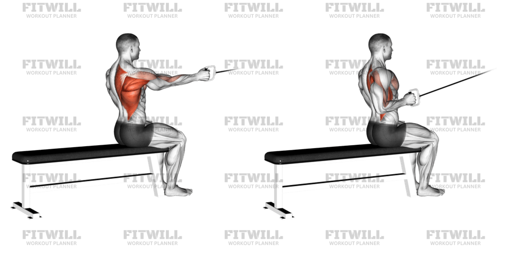 Cable Seated One Arm Alternate Row: Exercise Guide, Video, Techniques ...