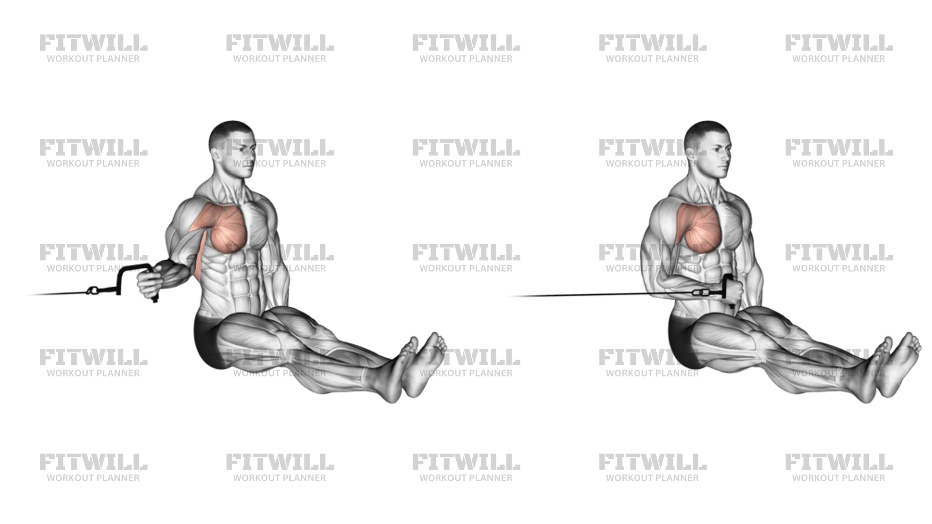 Cable Seated Shoulder Internal Rotation: Exercise Guide, Techniques ...