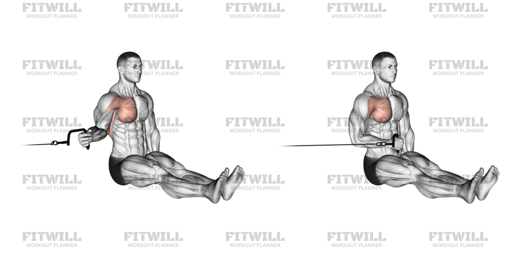Cable Seated Shoulder Internal Rotation: Exercise Guide, Techniques ...