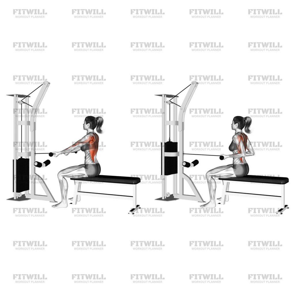 Cable Seated Supine-grip Row: Exercise Guide, Techniques, Benefits, How ...