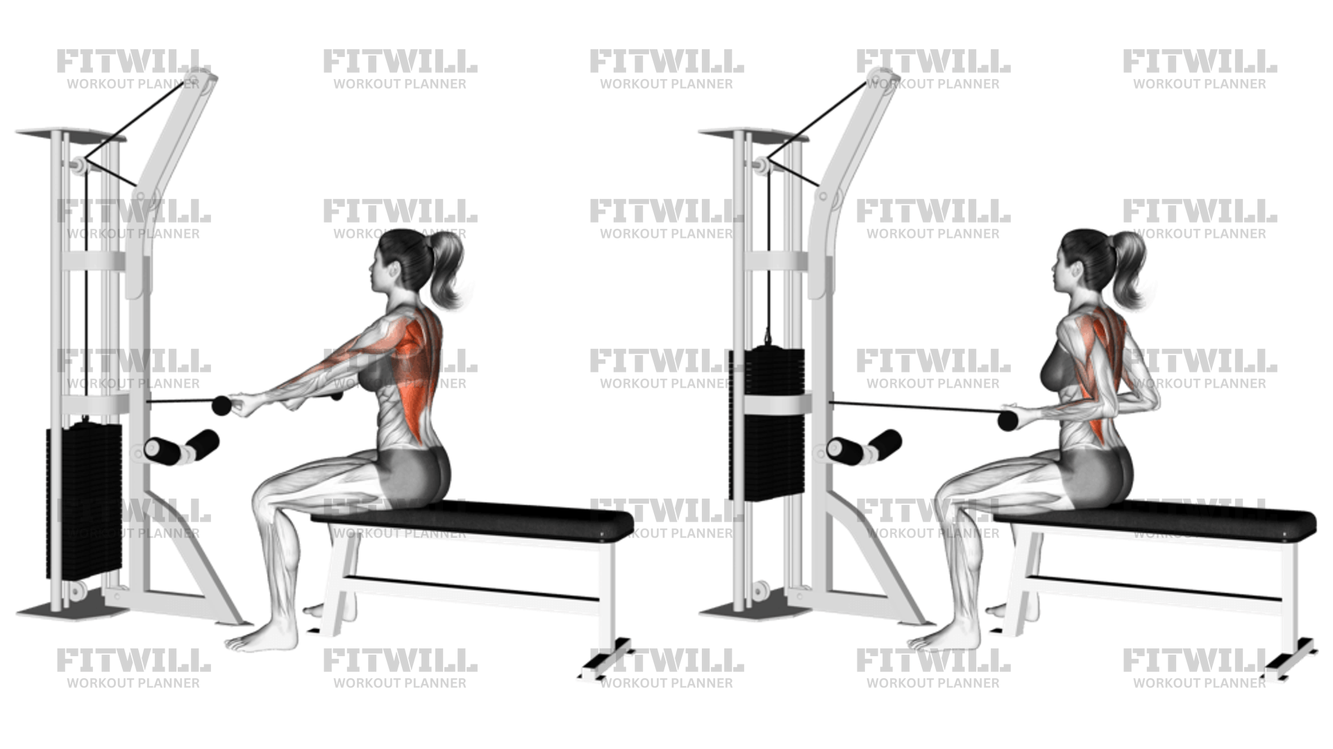 Cable Seated Supine-grip Row: Exercise Guide, Techniques, Benefits, How ...