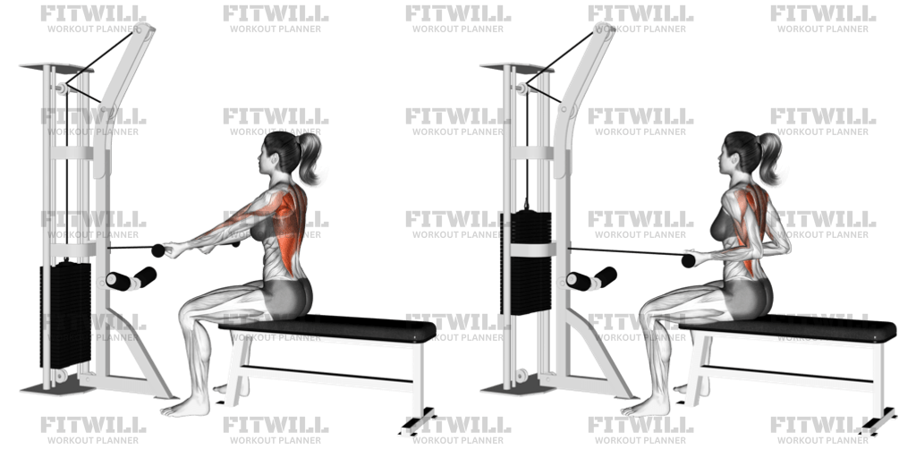 Cable Seated Supine-grip Row: Exercise Guide, Techniques, Benefits, How ...