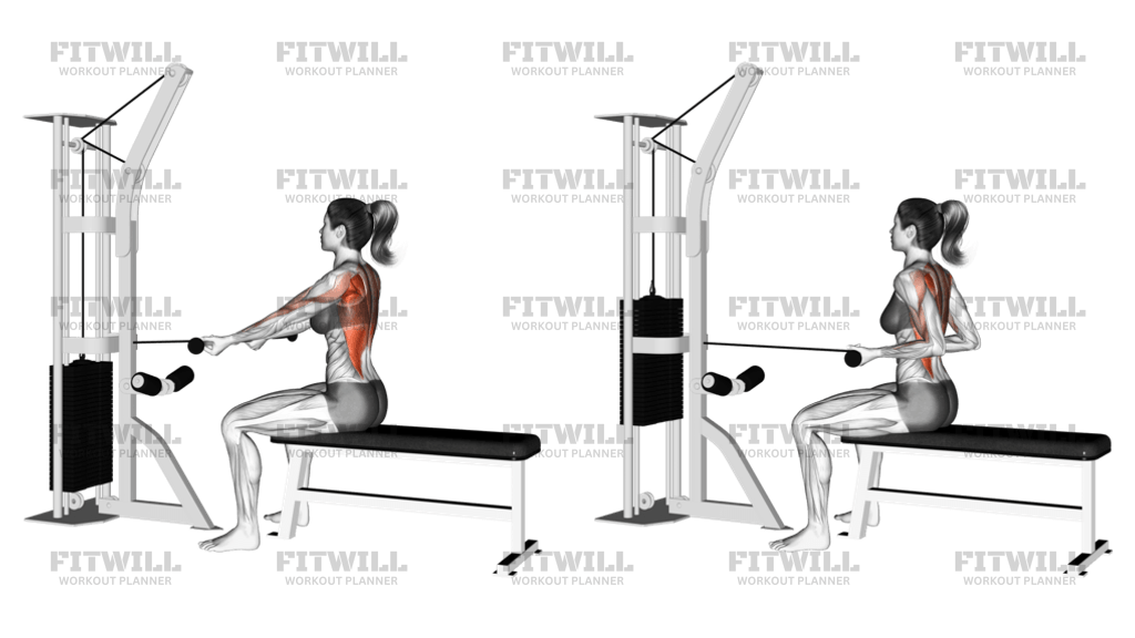 Cable Seated Supine-grip Row: Exercise Guide, Techniques, Benefits, How ...
