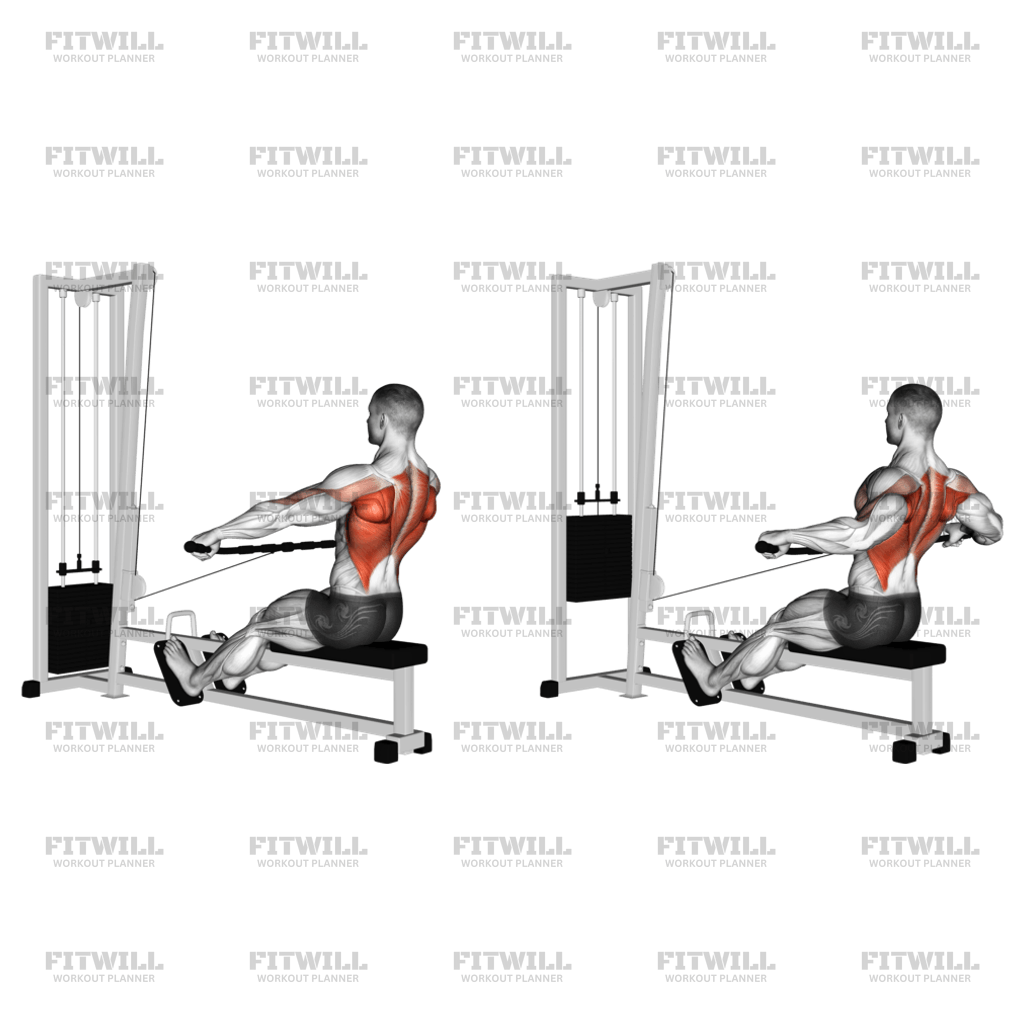 Cable Seated Wide-grip Row: Exercise Guide, Video, Techniques, Benefits ...