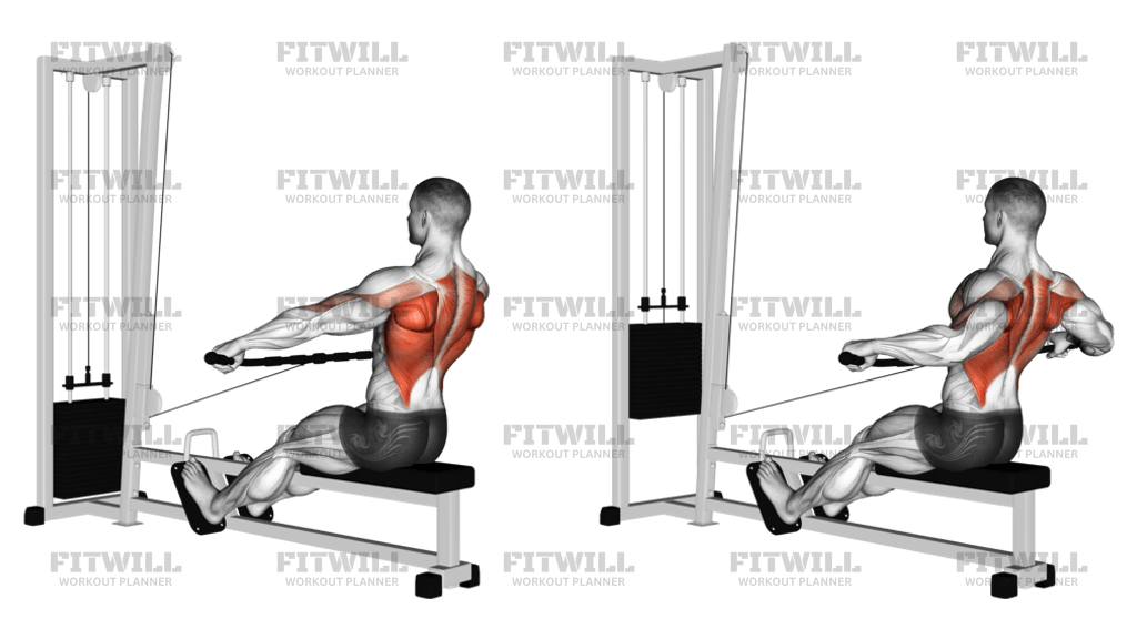 Remo Sentado Con Agarre Amplio En Polea: Guía de Ejercicios, Video ...