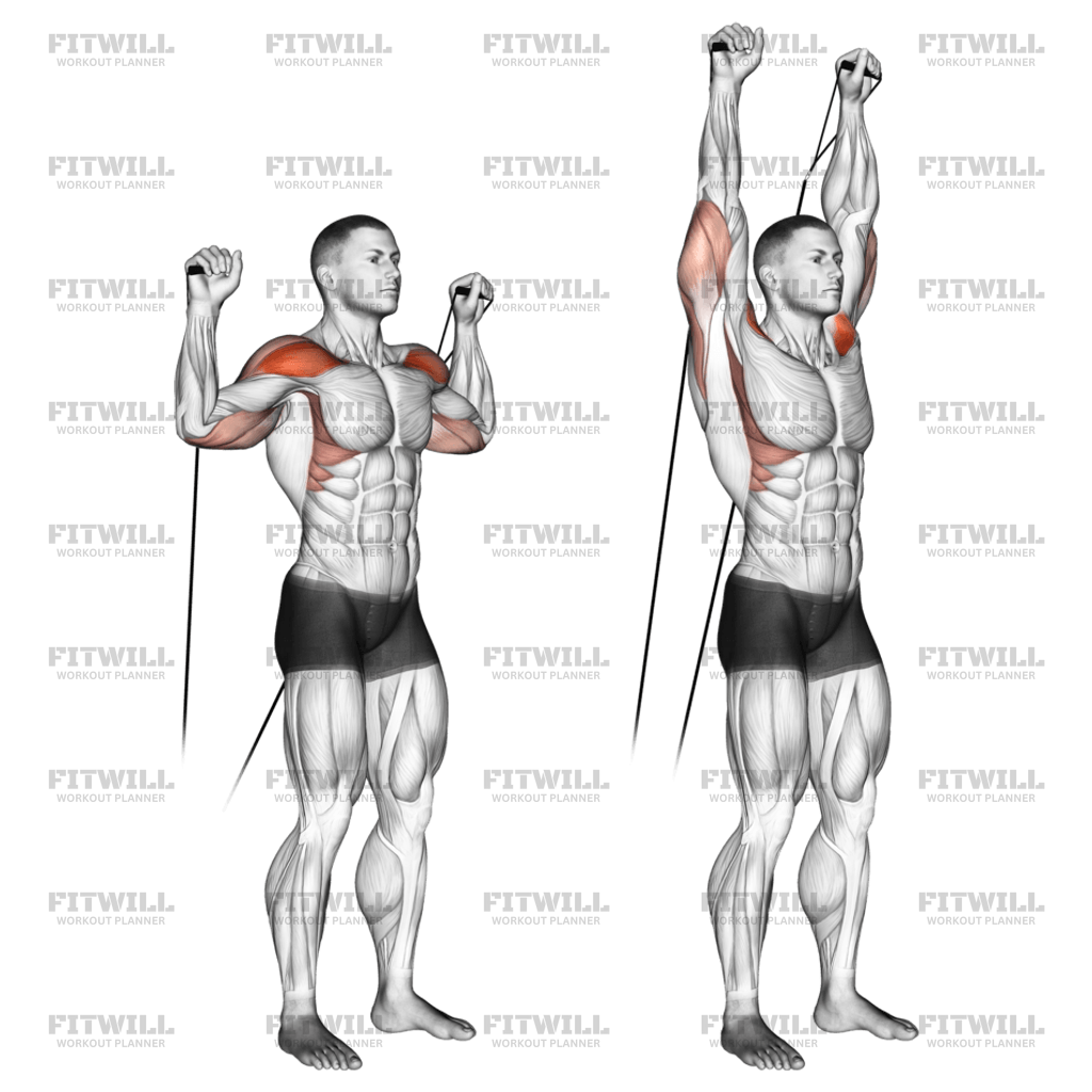 Cable Shoulder Press: Exercise Guide, Video, Techniques, Benefits, How ...