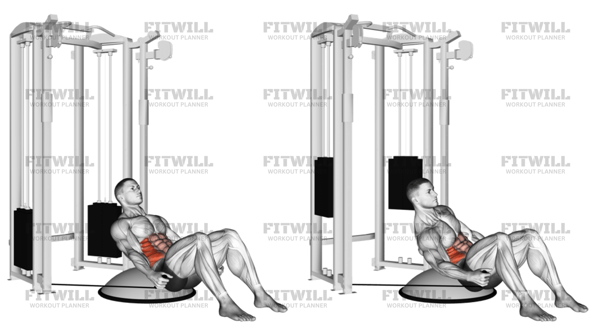 Cable Side Bend Crunch (bosu Ball): Exercise Guide, Techniques, Benefits, How to, Muscles Worked ...