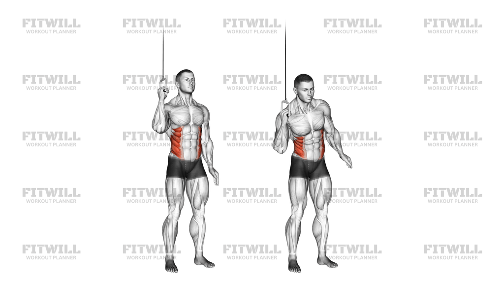 Crunch Lateral Con Cable: Guía de Ejercicios, Técnicas, Beneficios ...