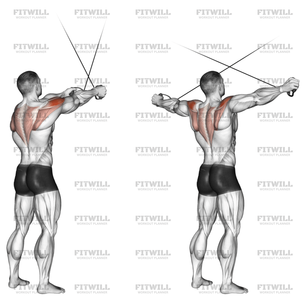 Reverse Cable Fly: Exercise Guide, Video, Techniques, Benefits, How to ...