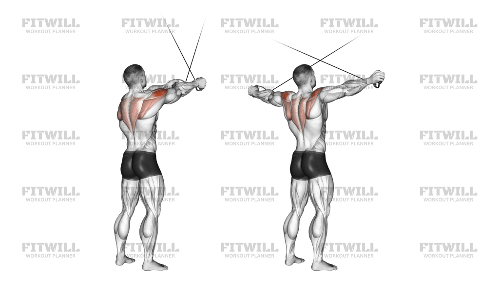 Reverse Cable Fly: Exercise Guide, Video, Techniques, Benefits, How to ...