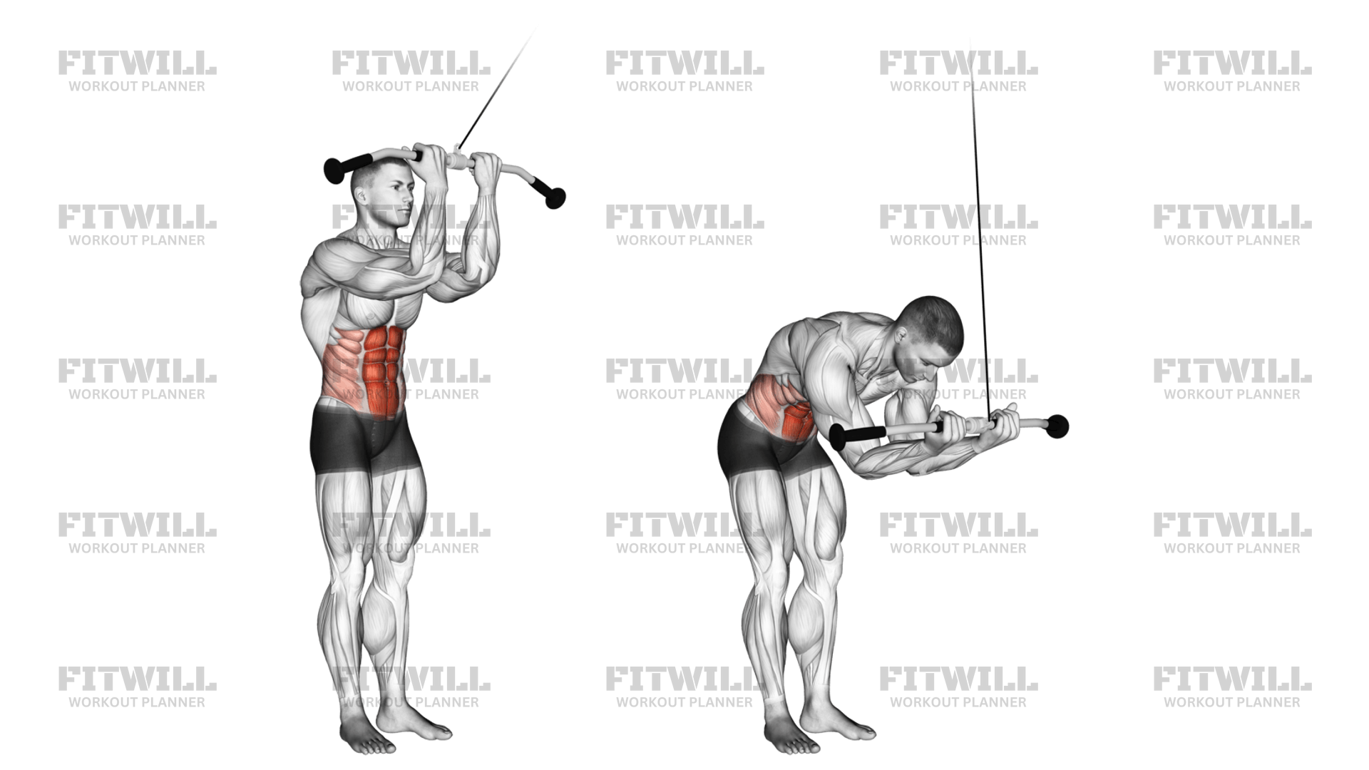 Cable Standing Crunch: Exercise Guide, Techniques, Benefits, How to ...