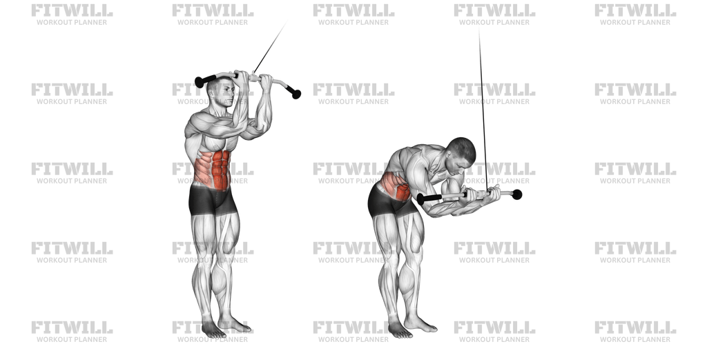 Cable Standing Crunch: Exercise Guide, Techniques, Benefits, How to ...