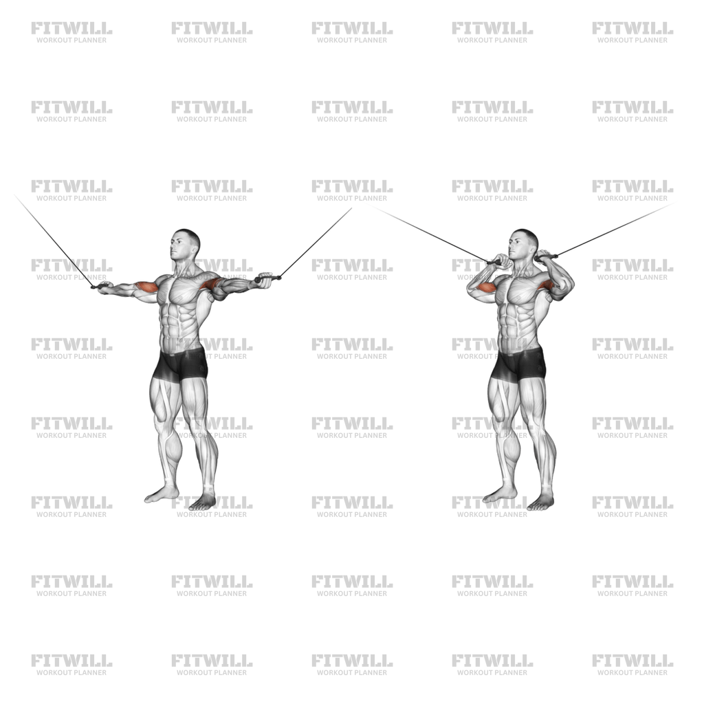 Rosca Interna Em Pé Com Cabo: Vídeo do Exercício | Fitwill