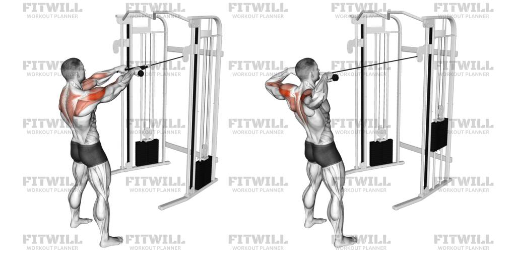 Cable Rope Standing Rear Delt Row: Exercise Guide, Video, Techniques ...