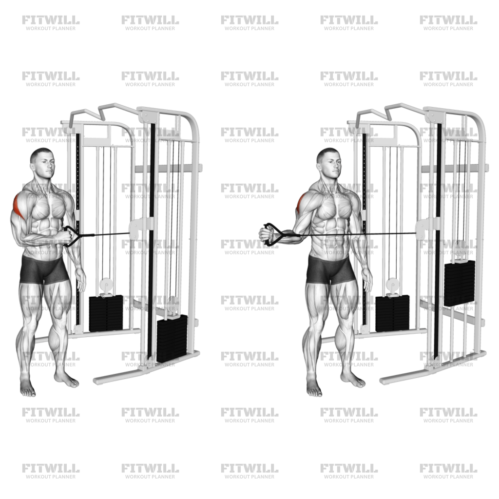Cable Standing Shoulder External Rotation: Exercise Guide, Video ...