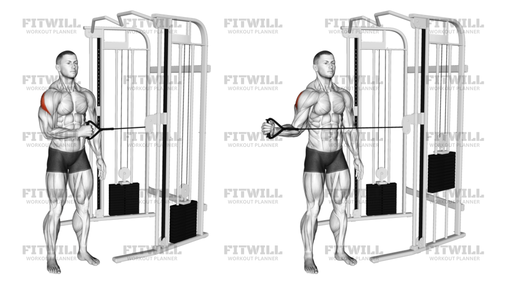 Cable Standing Shoulder External Rotation: Exercise Guide, Video ...