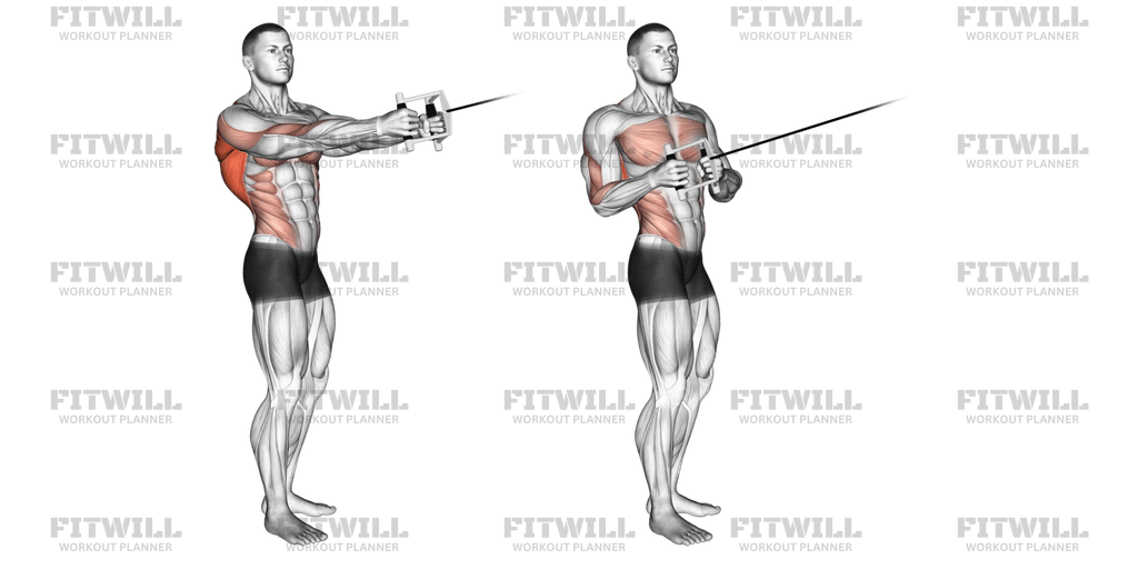 Cable Standing Twist Row (V-bar): Exercise Guide, Techniques, Benefits ...