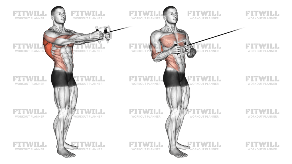 Cable Standing Twist Row (V-bar): Exercise Guide, Techniques, Benefits ...