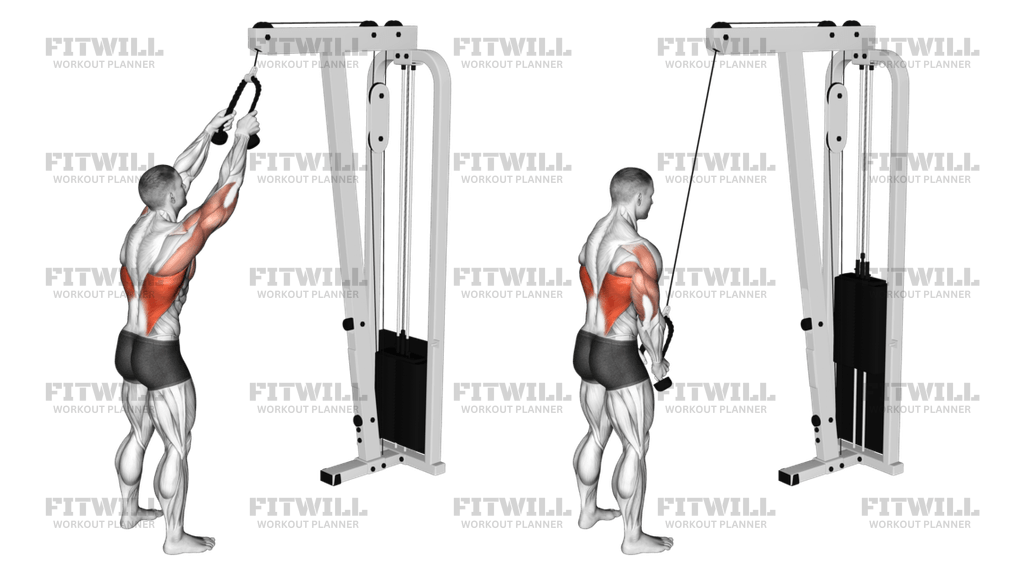 Cable Straight Arm Pulldown (with rope): Guide, Techniques, Benefits ...