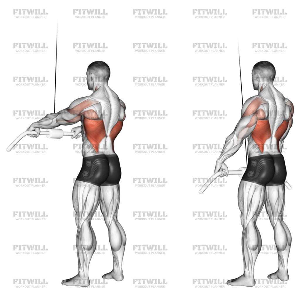 Cable Straight Arm Pulldown: Exercise Guide, Video, Techniques, Benefits, How to, Muscles Worked ...