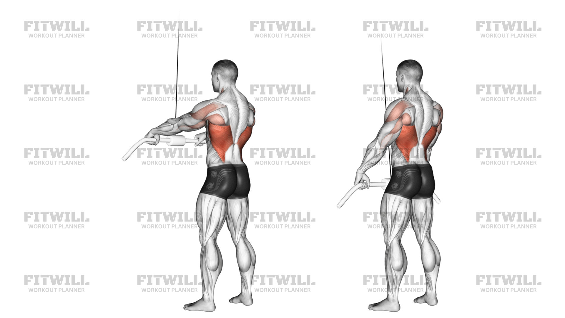 Cable Straight Arm Pulldown: Exercise Guide, Video, Techniques, Benefits, How to, Muscles Worked ...
