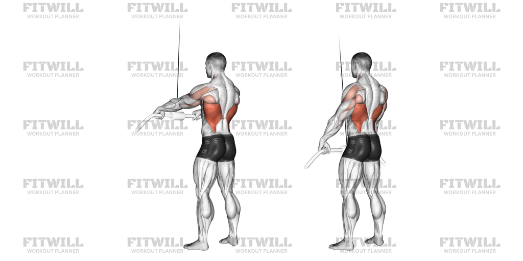 Cable Straight Arm Pulldown: Exercise Guide, Video, Techniques ...