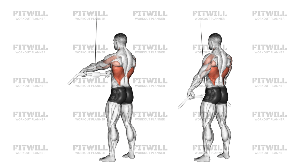 Cable Straight Arm Pulldown: Exercise Guide, Video, Techniques ...