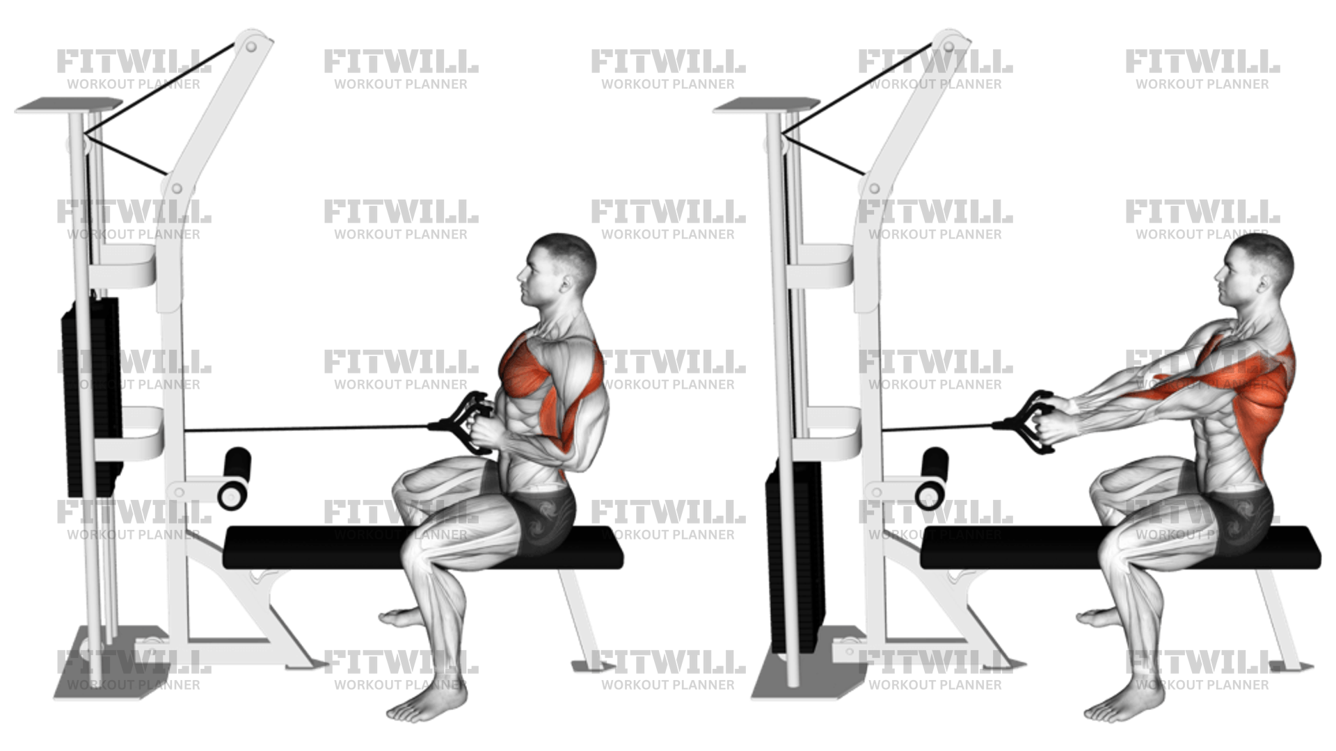 Remo Sentado Con Espalda Recta En Cable: Guía de Ejercicios, Video ...